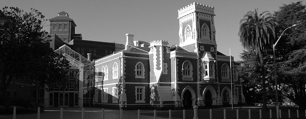 Profile – David | CONNOR